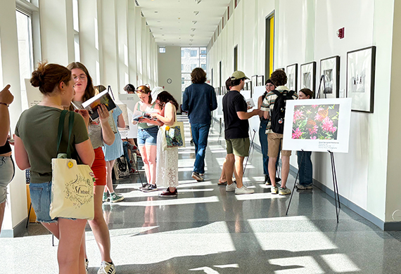 News Article - Marist University