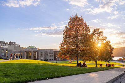 News Article - Marist College